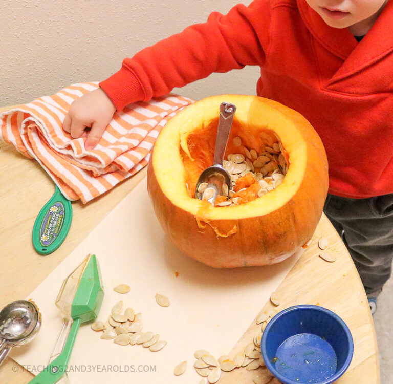 Preschool Pumpkin Science Exploration