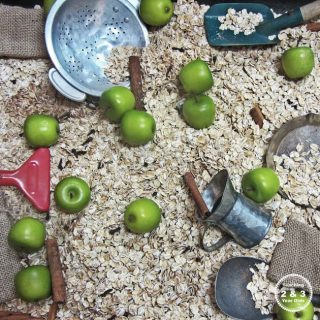 Fall Apple Sensory Bin for Toddlers and Preschoolers