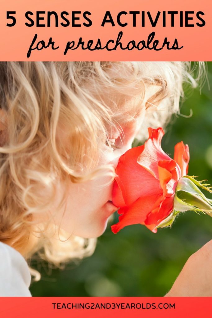 Activities Using the 5 Senses