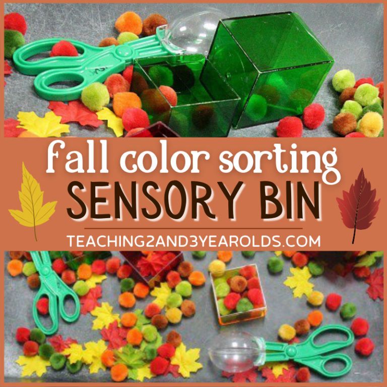 Color Sorting Fall Sensory Bin for Preschoolers
