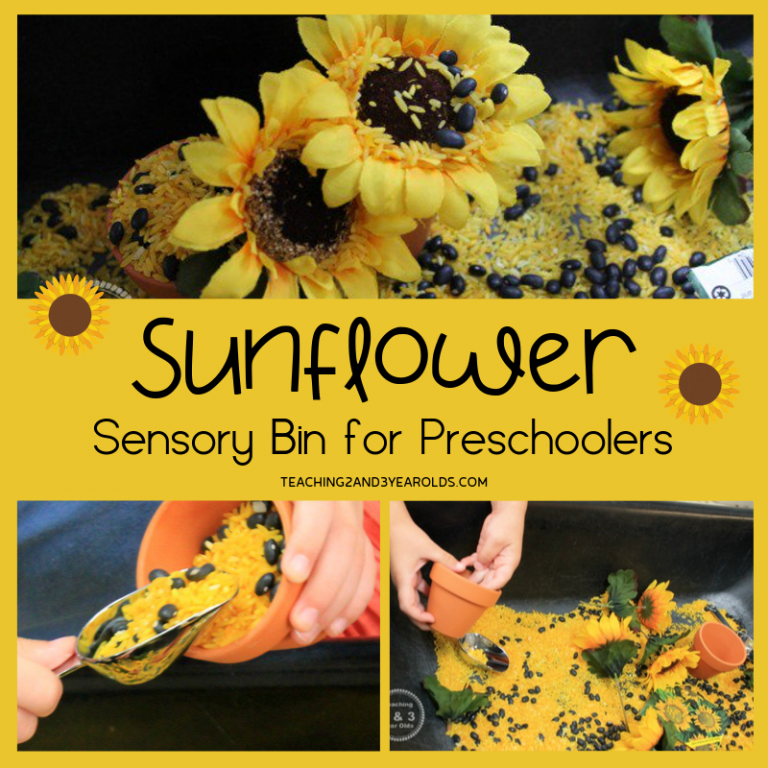 How to Create a Preschool Sunflower Sensory Table