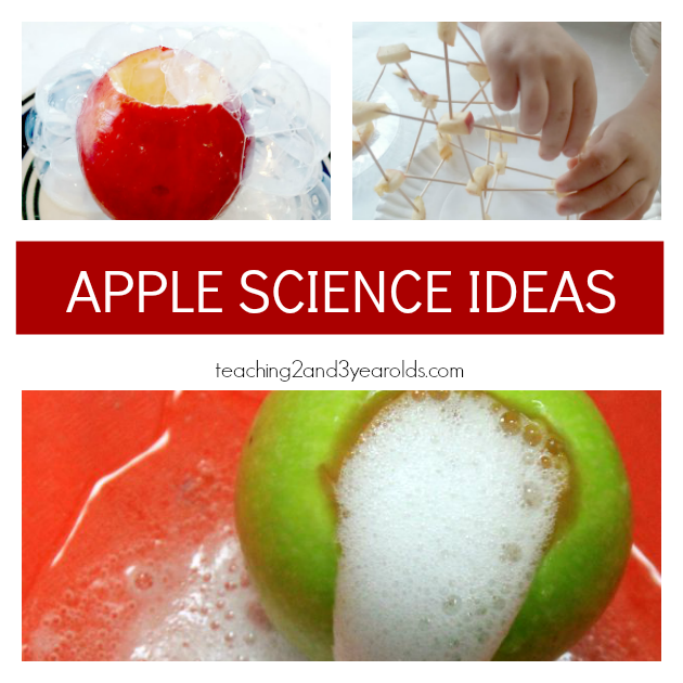 Fun Preschool Apple Theme Activities Fun Preschool Apple Theme Activities