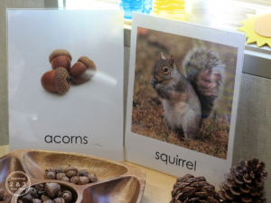 Explore Nature with these Preschool Science Ideas for Fall