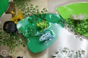 How to Make a Frog Pond Spring Sensory Bin
