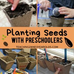 How to Plant Seeds for an Easy Kids Gardening Activity
