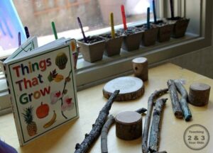 How to Plant Seeds for an Easy Kids Gardening Activity