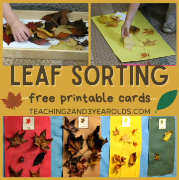 Preschool Leaf Sorting Activity with Free Printable Cards