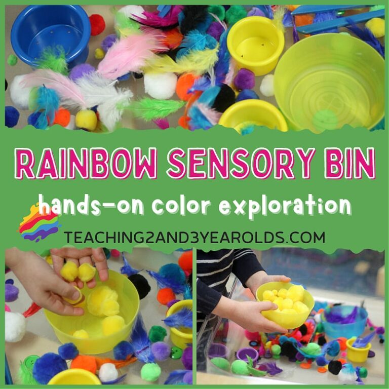 Fun Color Sorting Rainbow Sensory Bin