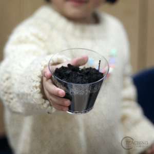 Our Favorite Preschool Garden Activity with Sunflowers