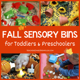 Fall Sensory Bins Toddlers and Preschoolers Love