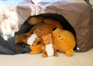 Toddler Hibernation Activities