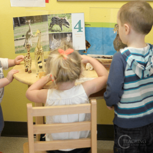 Spring Animals Theme Activities