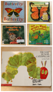 Setting up the Classroom for the Butterfly Theme