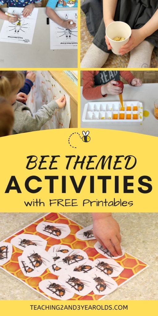 Learning About Bees with Preschoolers (with Printables)