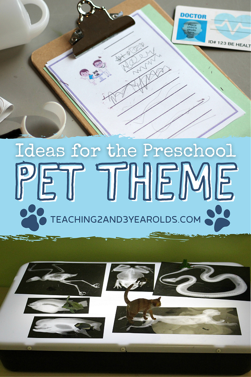 Setting Up The Toddler And Preschool Pet Theme Setting Up The Toddler And Preschool Pet Theme