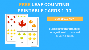 25 Leaf Activities for Fall