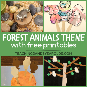 Creating a Forest Animals Preschool Theme