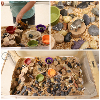 Creating a Forest Animals Preschool Theme