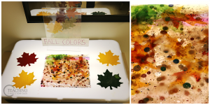 Leaves and Pinecones Theme Activities for Toddlers and Preschoolers