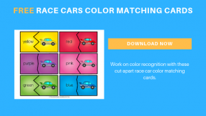 Free Race Car Color Matching Puzzles