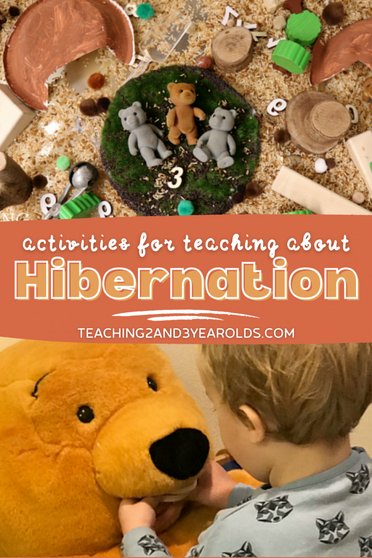 Toddler and Preschool Hibernation Theme Activities