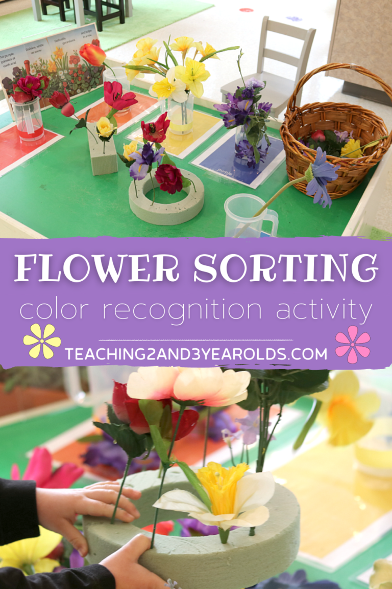Spring Color Sorting Activity that Goes with Your Gardening Theme