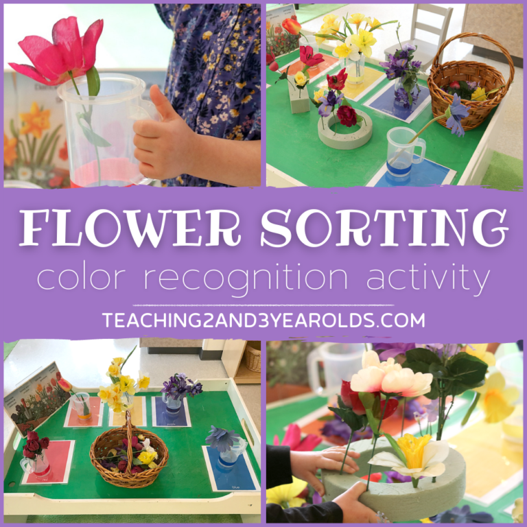 Spring Color Sorting Activity that Goes with Your Gardening Theme