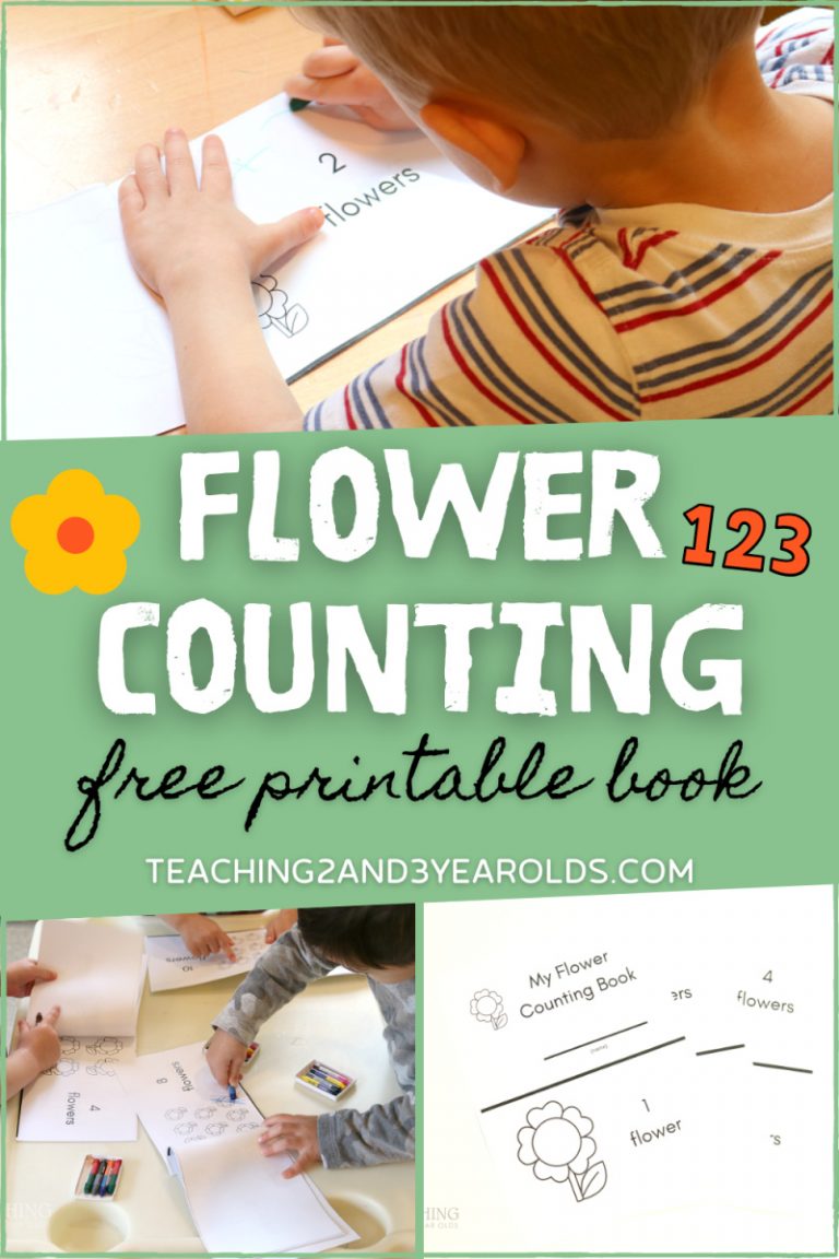 Garden Flowers Printable Counting Book