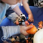 Washing the Farm Animals Activity for Toddlers