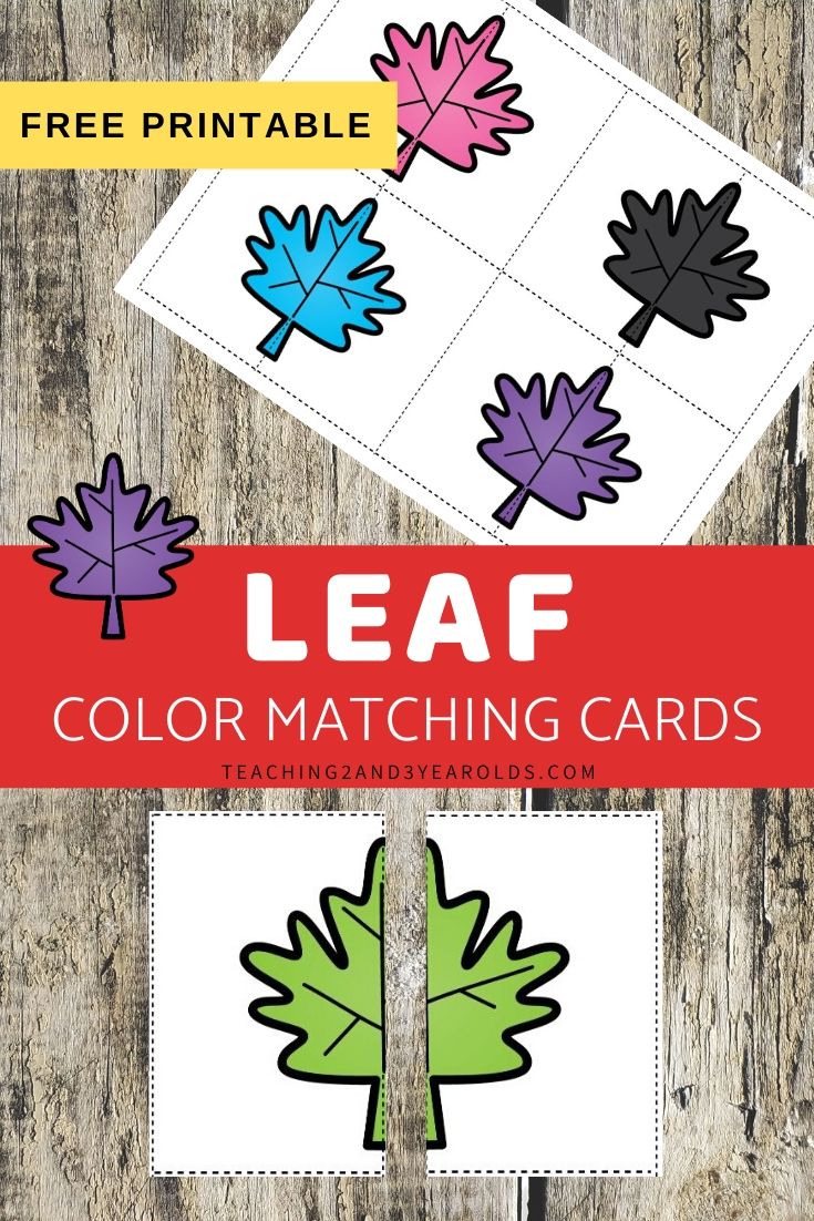 Leaf Color Matching Printable Cards {that Work on Symmetry}