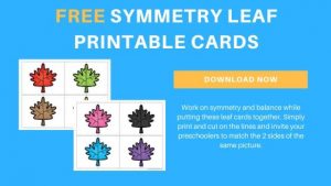 Leaf Color Matching Printable Cards {that Work on Symmetry}