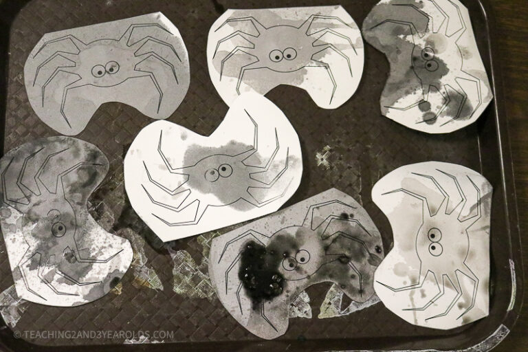 Colorful Spider Web Art Activity