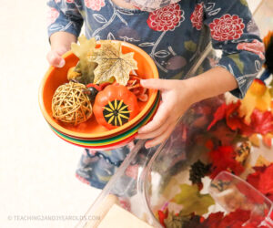 Preschool Autumn Sensory Bin