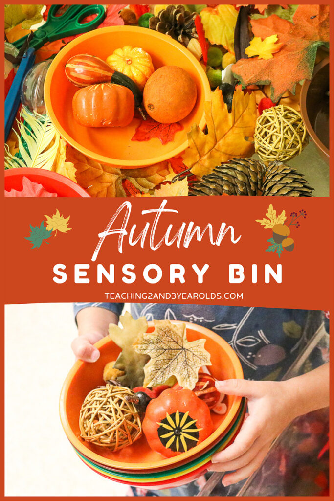 Preschool Autumn Sensory Bin