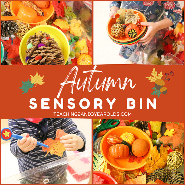 Preschool Autumn Sensory Bin