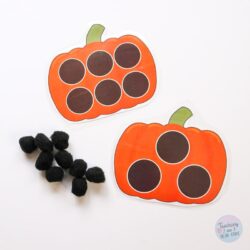 Apples and Pumpkins Theme Ideas for 2022