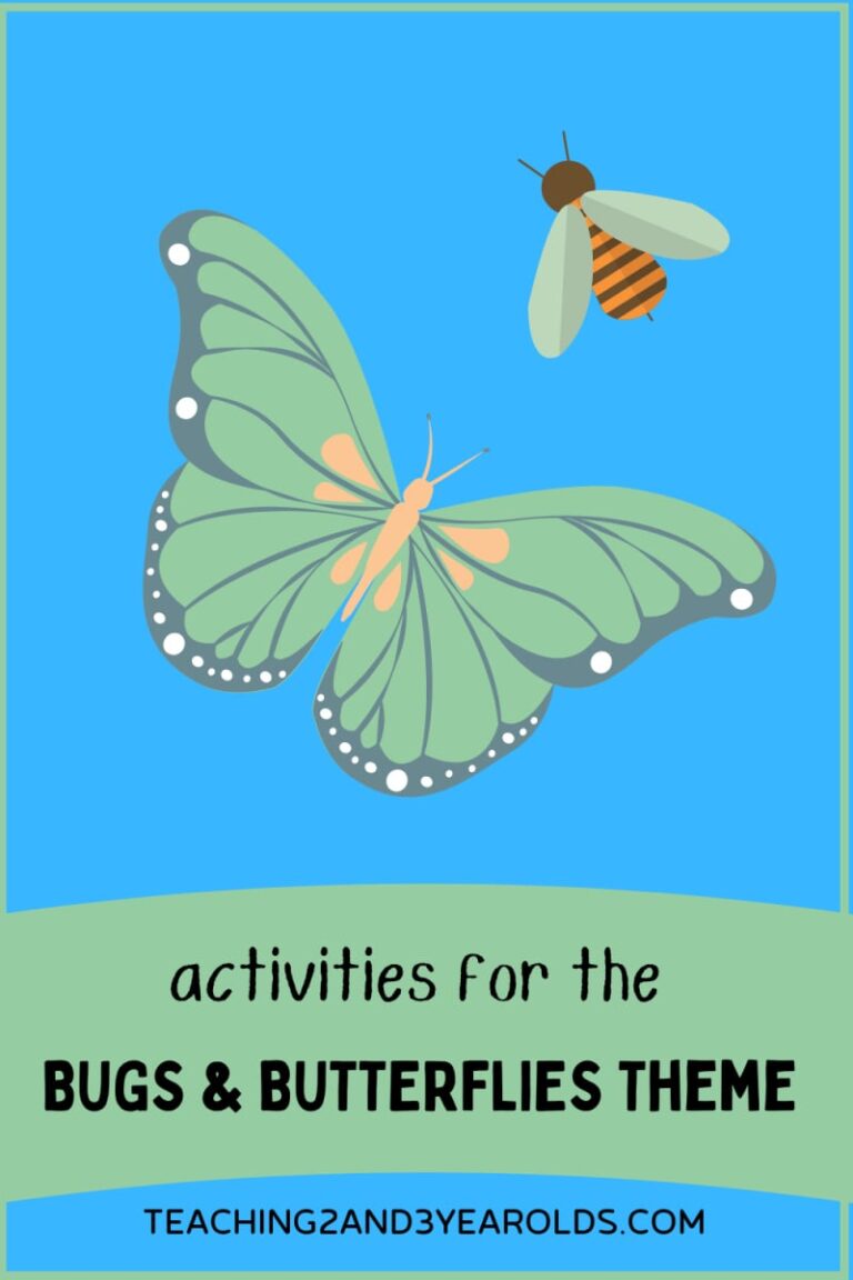 Preschool Bugs and Butterflies Theme