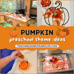 Pumpkin Theme Resources