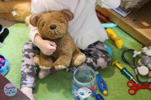 Veterinarian Preschool Pets Theme Dramatic Play Activity