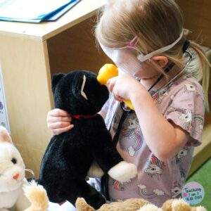 Veterinarian Preschool Pets Theme Dramatic Play Activity