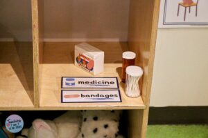 Veterinarian Preschool Pets Theme Dramatic Play Activity