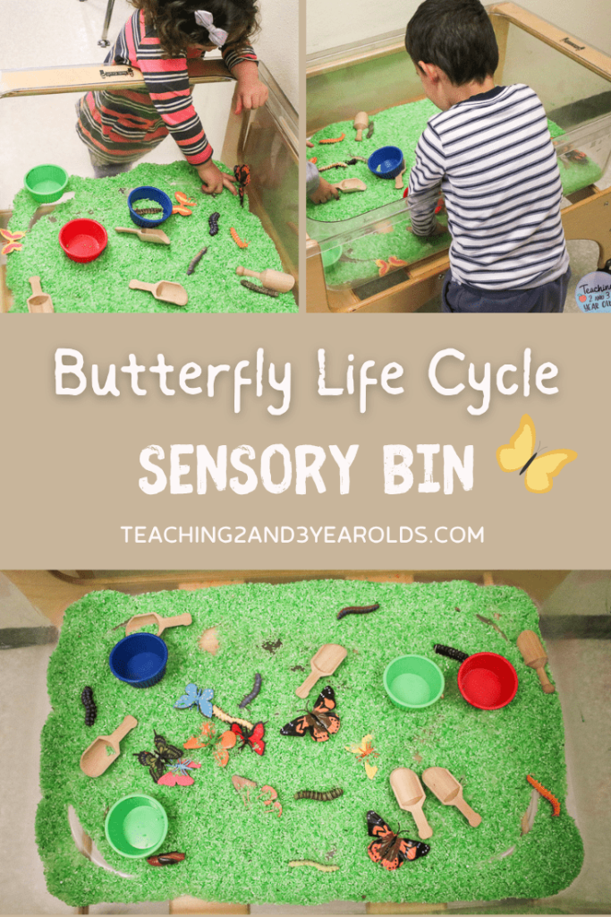 preschool butterfly sensory bin
