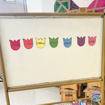 Flower Color Matching Circle Time Activity