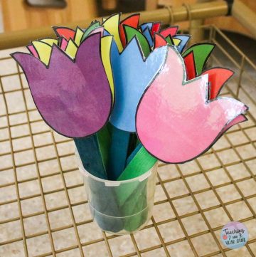 Flower Color Matching Circle Time Activity