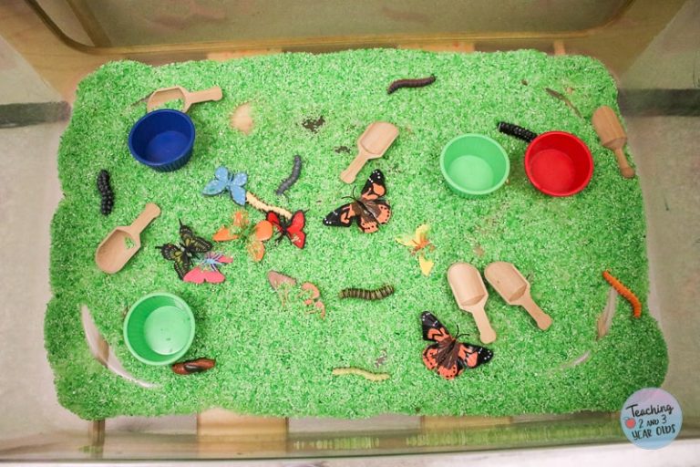 Preschool Bugs and Butterflies Theme